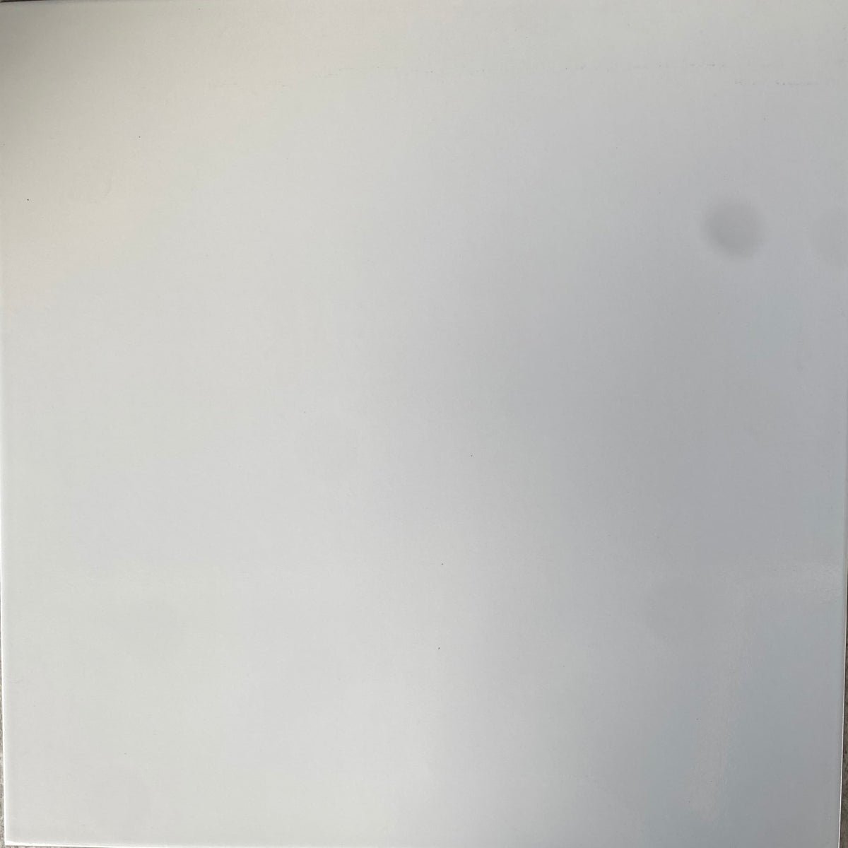 Ceramic Floor tile 18x18" #46029 White – Yee Ken Hardware